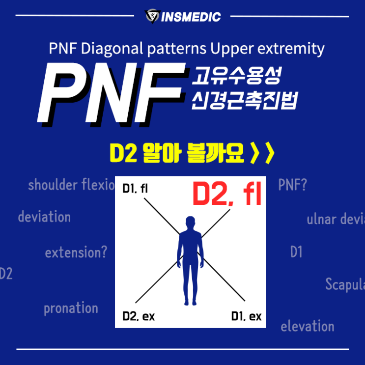 [국제테이핑] 3편 PNF상지 D2 Flexion에 대해 알아보기! : 네이버 블로그