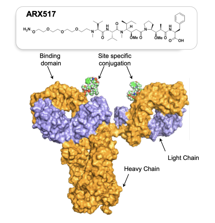 ARX517 임상시험 소개 : 네이버 블로그