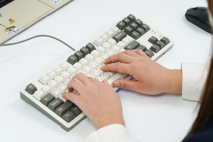 텐키리스 기계식 게이밍 키보드 추천, 특주축, PBT 키캡, 투톤 디자인 적용된 앱코 AN06F TKL PBT : 네이버 블로그