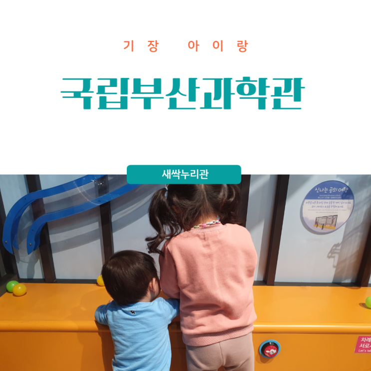 국립부산과학관 기장 아이랑 갈만한 곳새싹누리관 다이나믹슬라이드 네이버 블로그