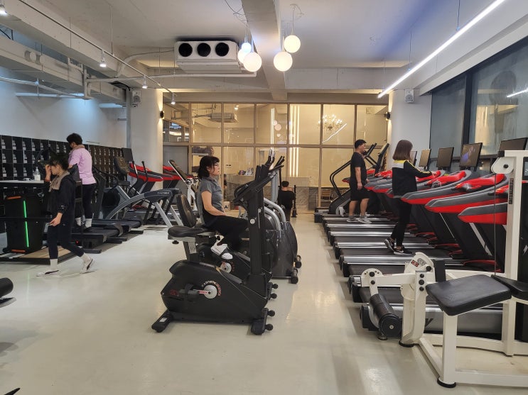 은행동 헬스장 은행동 Pt 시흥 헬스장 시흥 Pt 운동맛집 조명맛집 바디트랜스짐은행점 네이버 블로그