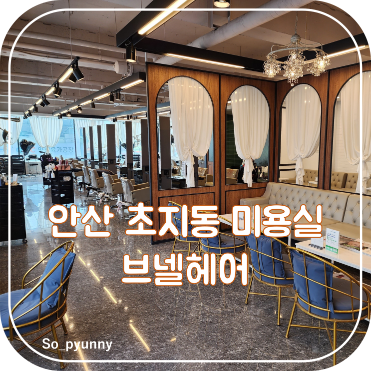 안산 초지동 미용실 브넬헤어 초지점 클리닉 받고 온 후기 네이버 블로그