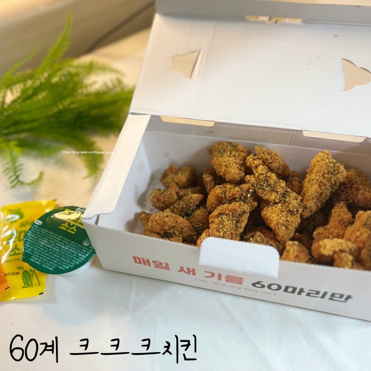 60계치킨 크크크 치킨 내돈내산 솔직후기 크크크치킨 순살 네이버 블로그