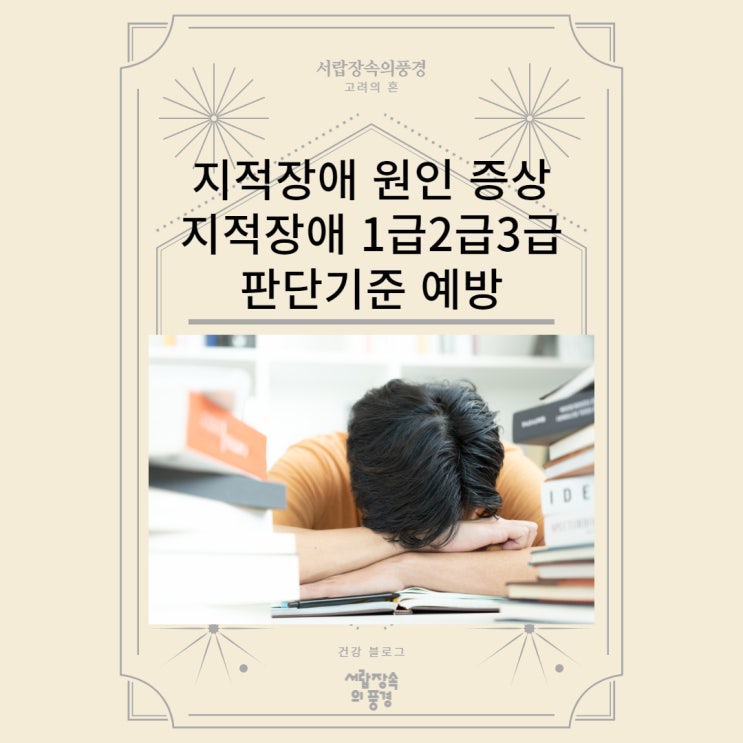 지적장애 원인 초기 증상 예방 지적장애 진단 지적장애 1급 2급 3급 지적장애 3급 판단기준 네이버 블로그
