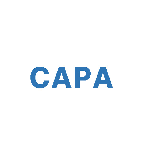 CAPA (Corrective and Preventive action) 작성 방법 : 네이버 블로그