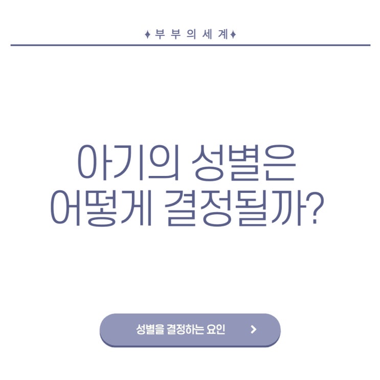[임신정보] 아기의 성별은 어떻게 결정될까 네이버 블로그