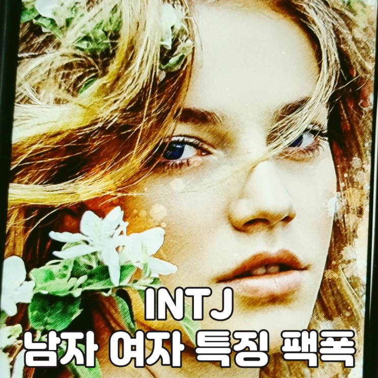 Intj 특징 팩폭 남자 여자 연애 알아보기 네이버 블로그