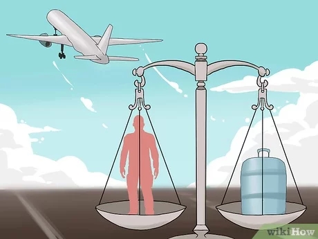 [항공용어] 13. ACL(허용탑재중량)_항공기 무게, 여객운송업무, LD 업무 : 네이버 블로그