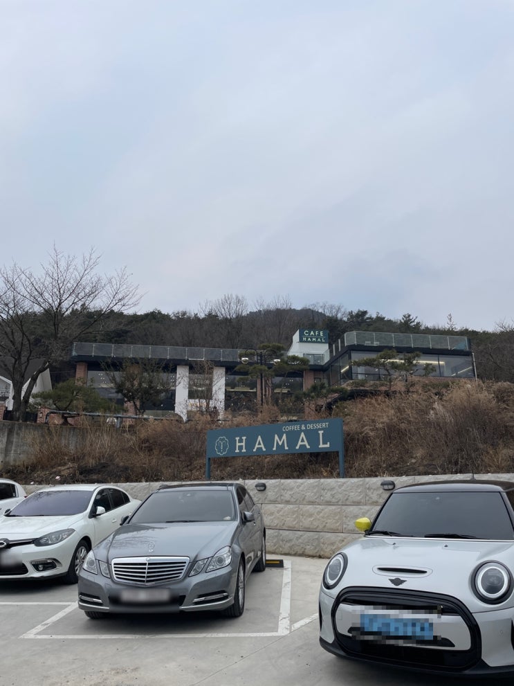 [맛집/카페] 경산 와촌 / 대구 동구 근교 애견카페 'HAMAL(하말)' 방문 : 네이버 블로그