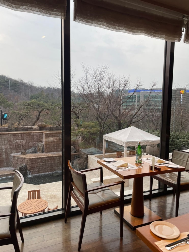 서울신라호텔 평일 디너 생일 파크뷰 사진 많음 주의 네이버 블로그
