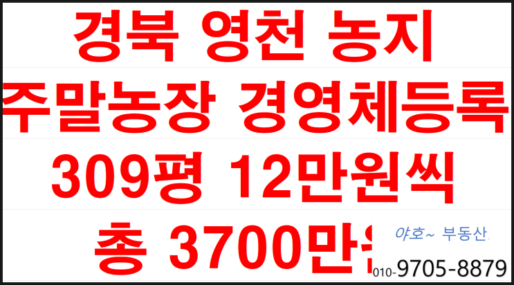 경북 영천 싸고 작은 농지 논답 309평 주말농장 농업경영체등록용 12만원씩 총 3700만원 부동산 토지 투자 땅 매매 경북