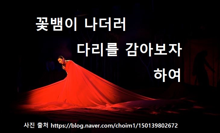 연극 희곡 꽃뱀이 나더러 다리를 감아보자 하여 대본 조광화 作 인천 부천 연기학원 여자 1인극 모놀로그 네이버 블로그