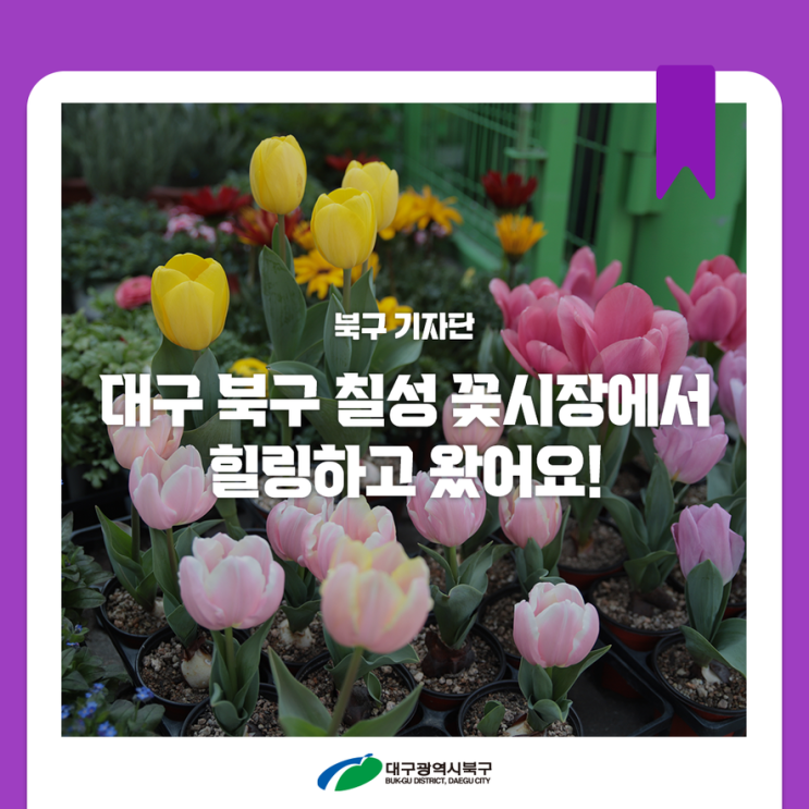 북구기자단 대구 북구 칠성 꽃시장에서 힐링하고 왔어요 네이버 블로그