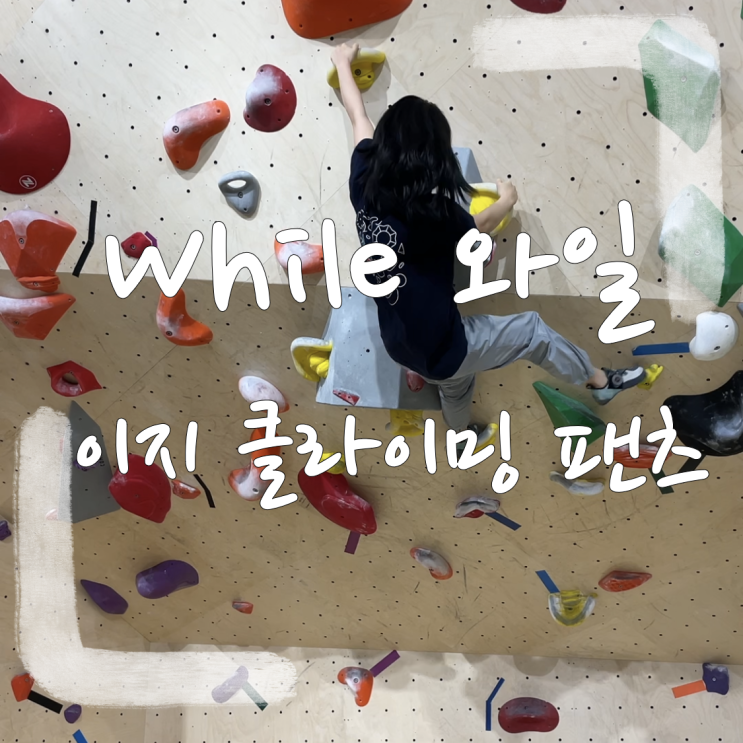 While 와일 이지 클라이밍 팬츠 클라이밍 바지 추천 및 사이즈 후기내돈내산 네이버 블로그
