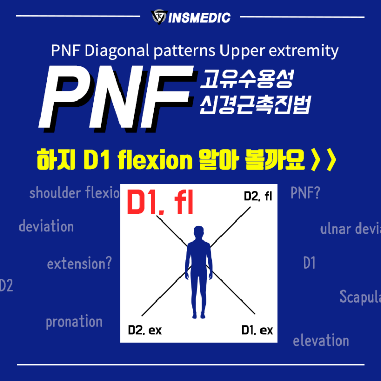[국제테이핑] 8편 PNF하지 D1 Flexion에 대해 알아보기! : 네이버 블로그