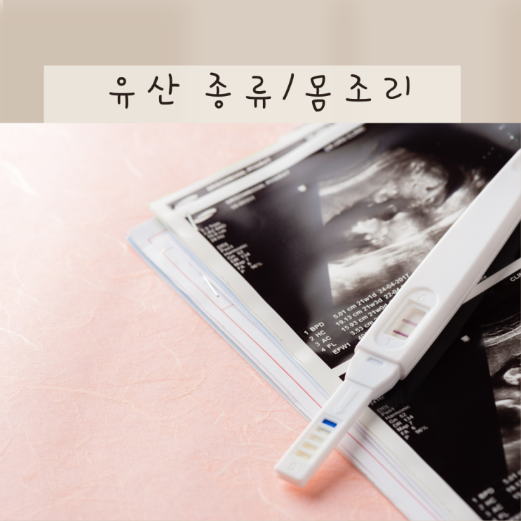 계류 절박 습관성 화학적 인공 유산 종류 증상 원인 후 몸조리 까지 담았어요 네이버 블로그