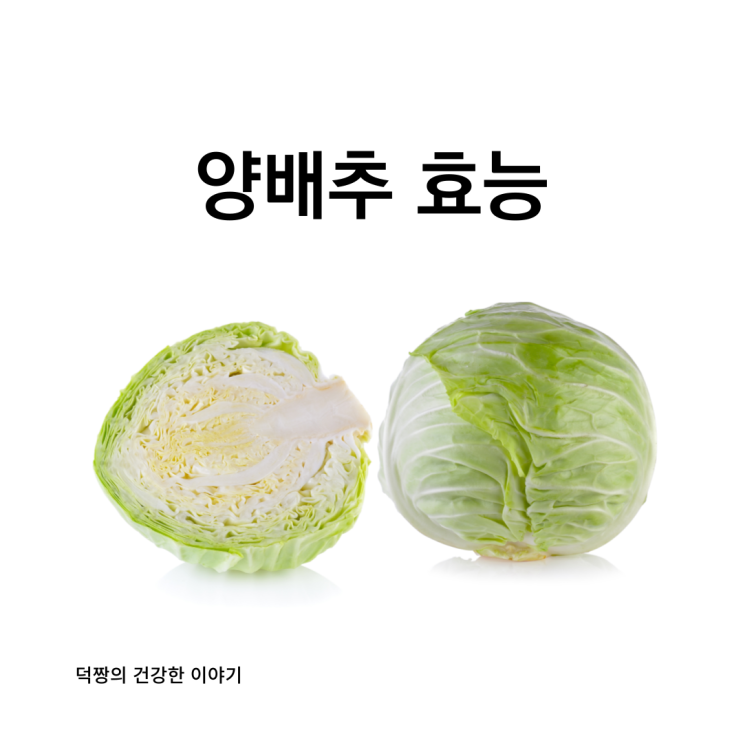 생 양배추 효능 및 삶은 양배추 효능 비교 분석 네이버 블로그