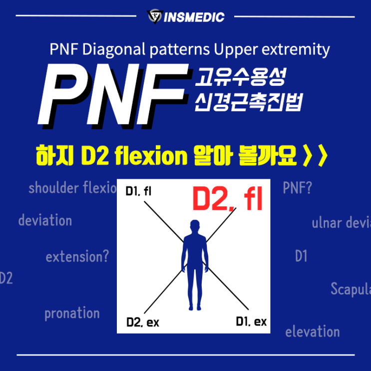 [국제테이핑] 9편 PNF하지 D2 Flexion에 대해 알아보기! : 네이버 블로그