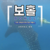 보홀 고래상어 투어 릴라 고래상어 현지 여행사 발레로소 랄레 가격 및 시간 투어 솔직후기 네이버 블로그