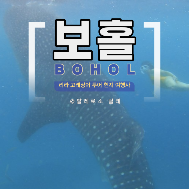 보홀 고래상어 투어 릴라 고래상어 현지 여행사 발레로소 랄레 가격 및 시간 투어 솔직후기 네이버 블로그