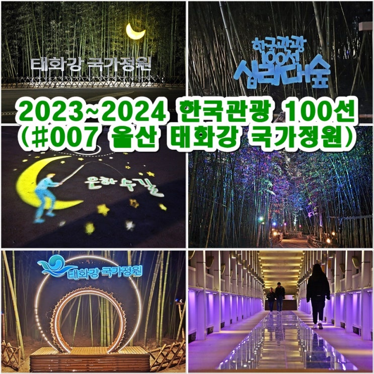 한국관광 100선 울산 태화강 국가정원 십리대숲 은하수길주차장 시간 은하수다리 울산야경 울산 가볼만한곳 네이버 블로그