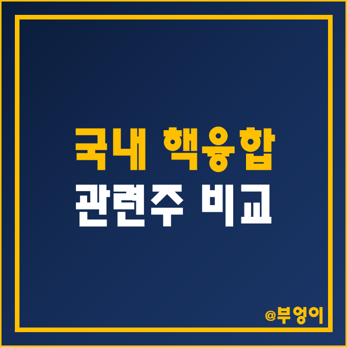 국내 핵융합 관련주 및 테마주 비교 두산에너빌리티 다원시스 삼화콘덴서 등 에너지 주식 주가 배당금 배당 수익률 시가총액