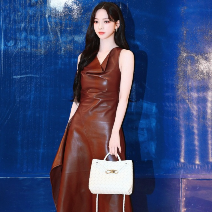 에스파 카리나 보테가베네타 봄 가을 가죽 롱원피스 여자 가방 코디 참고 네이버 블로그