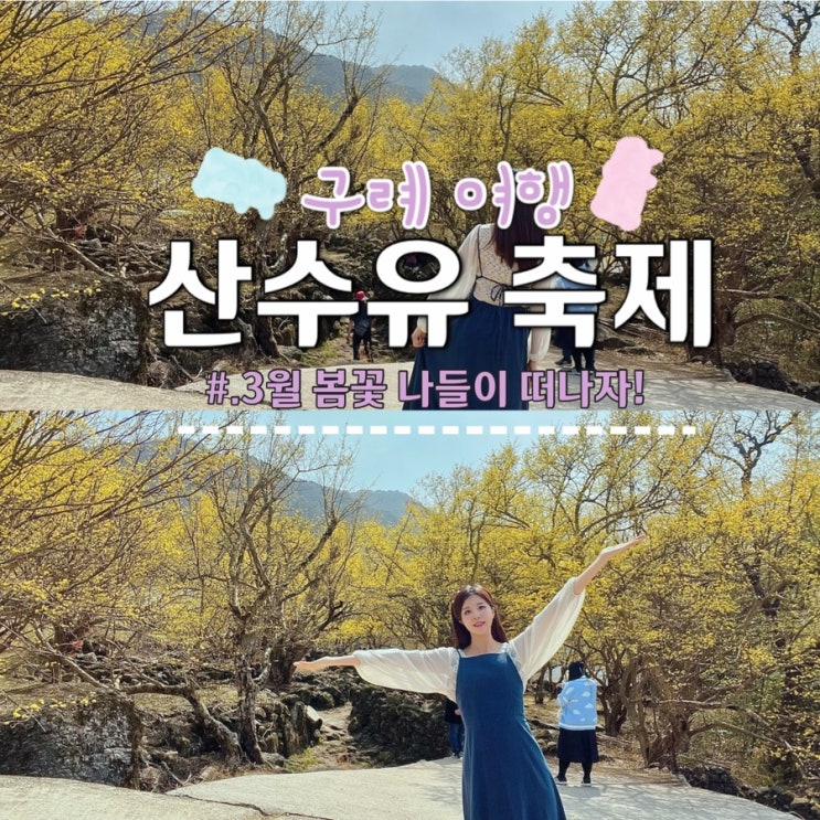 3월 전남 꽃축제 시작 구례 산수유 축제 보러 가자 포토존 주차 축하무대 가수 등 네이버 블로그