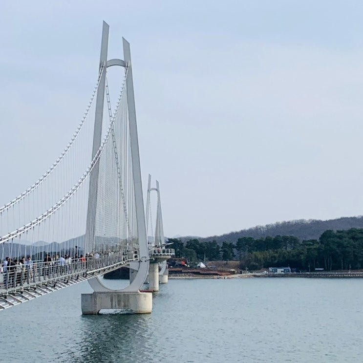 논산 탑정호 출렁다리 탑정저수지 논산 딸기축제 🍓 논산시민공원 시민운동장 당일치기 여행 네이버 블로그