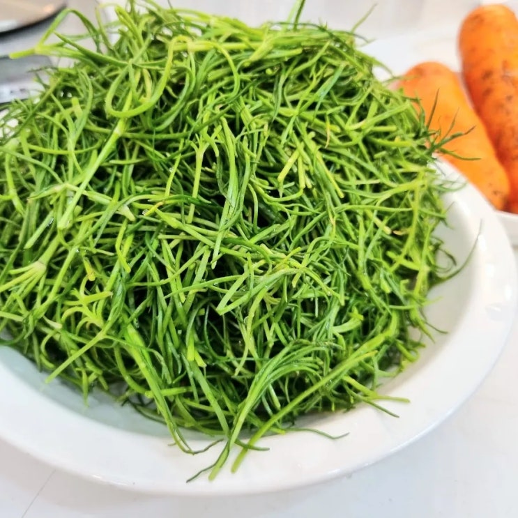 세발나물무침 세발나물요리 세발나물 겉절이 세발나물 효능 봄나물 반찬 세발나물 간장무침 제철 초무침 샐러드 네이버 블로그