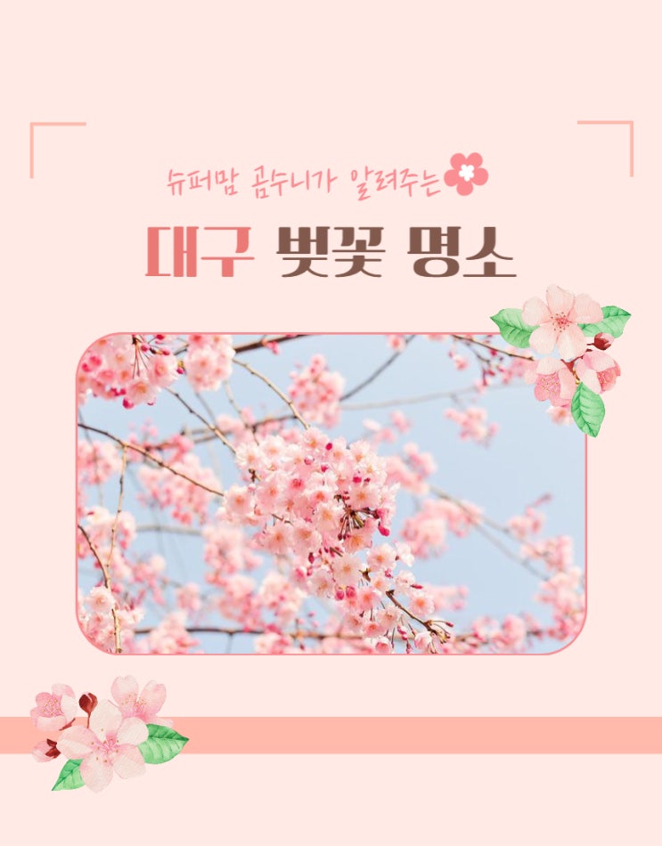 2023년 대구 벚꽃 명소 개화시기 근교 드라이브 축제 포토존 아이랑 유모차 주차 꿀팁 네이버 블로그