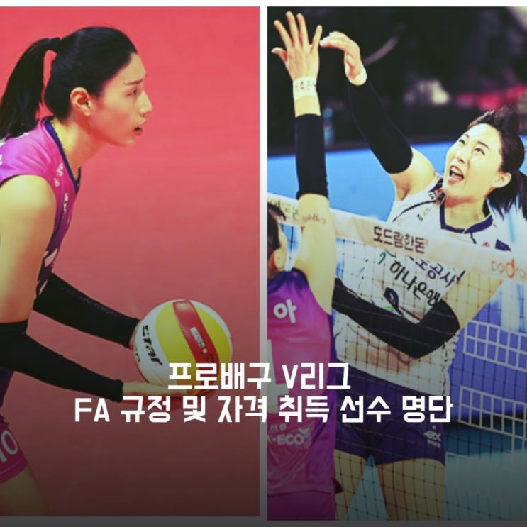 여자배구 FA 규정 및 자격 취득 예상 선수 명단 [V리그, 프로배구, KOVO] : 네이버 블로그