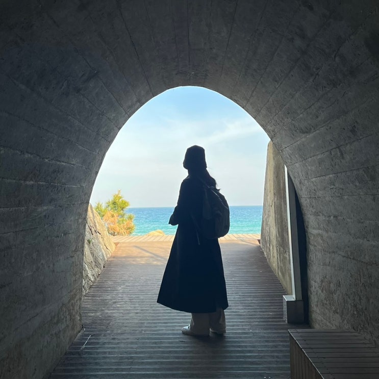 묵호강릉 1박2일 뚜벅이 혼자 여행 묵호1일차 해파랑길33코스연필뮤지엄한섬해변 네이버 블로그