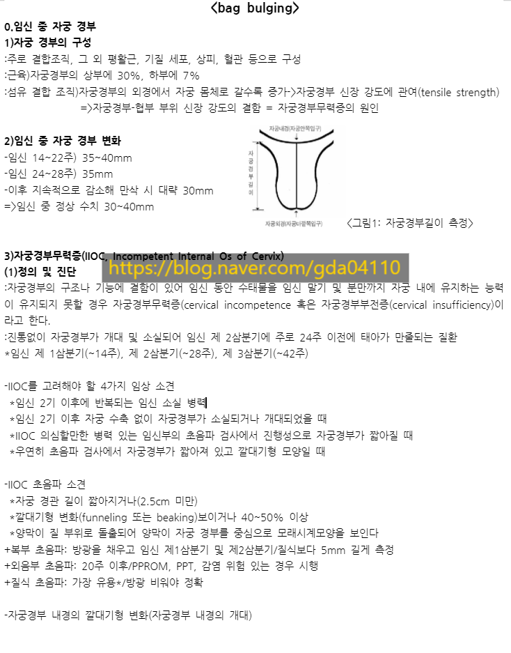 [RN]Bag Bulging : 네이버 블로그