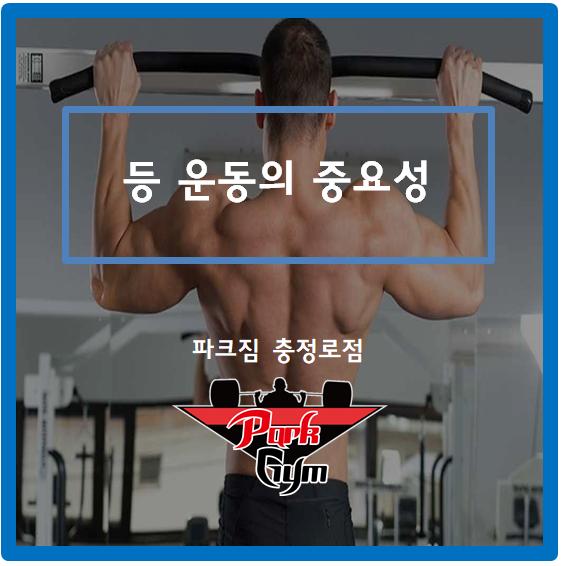 충정로역 피티 충정로 헬스장 등 운동 꼭 해야 하는 이유 랫풀다운 시티드로우 네이버 블로그
