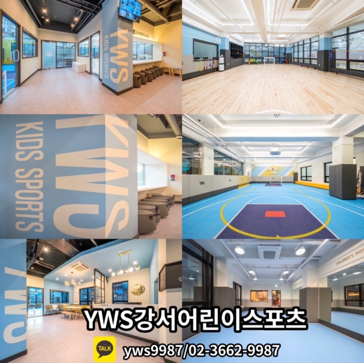 YWS강서어린이스포츠 : 네이버 블로그