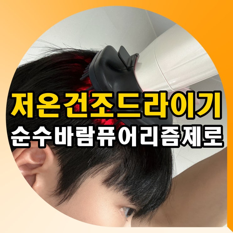 저온건조드라이기 순수바람 퓨어리즘 제로 사용기 네이버 블로그