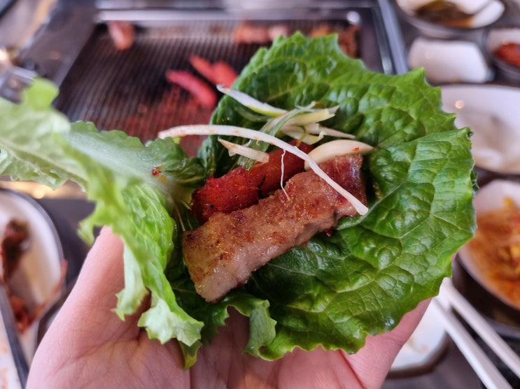 참숯 초벌구이 삼겹살 애견동반 대전 백제식당 네이버 블로그
