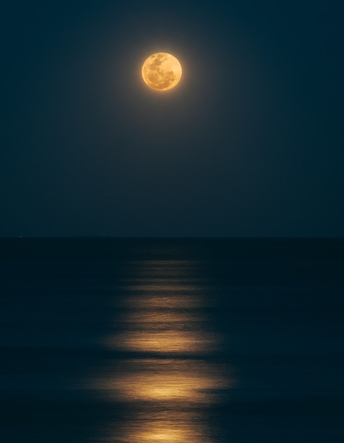 피아노 클래식 음악 베토벤 월광소나타 에피소드 : 네이버 블로그