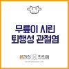 가산동한의원 무릎 시림 증상 퇴행성 관절염을 예방해요 네이버 블로그