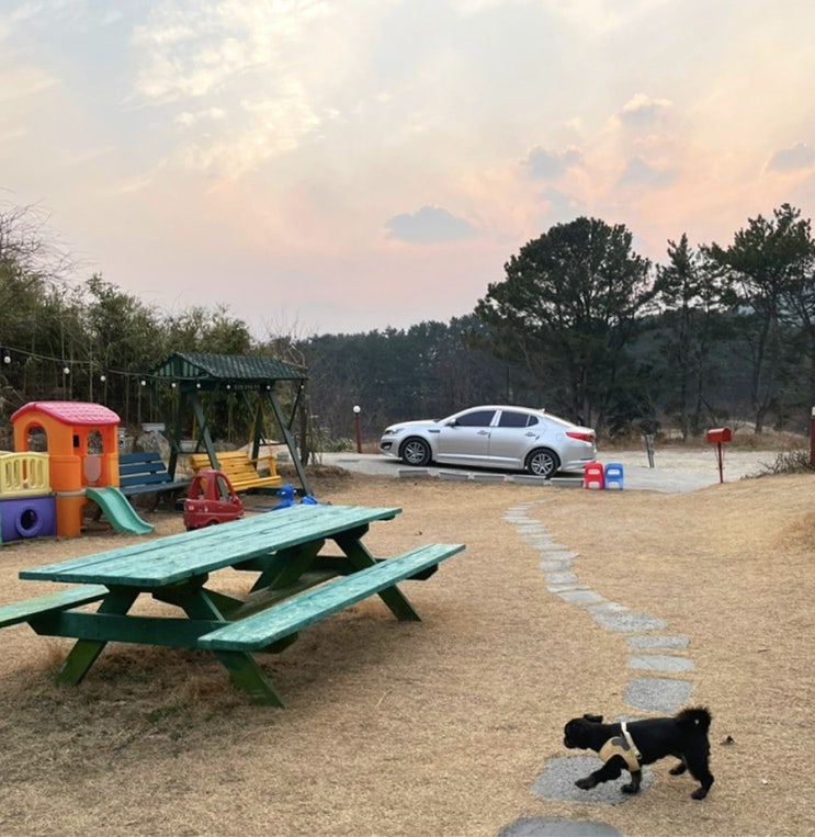 포항 애견동반 펜션포항화진별장 쥔장이모 친절하신 복층펜션 솔직후기 네이버 블로그