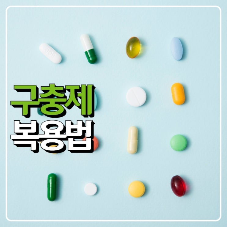 회충약 구충제 복용법과 시기 효과와 부작용설사 어린이 강아지 네이버 블로그