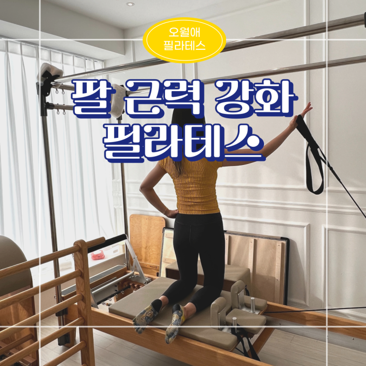 팔 근력 강화 필라테스 부산대필라테스부산대기구필라테스장전동필라테스장전동기구필라테스부곡동필라테스부곡동기구필라테