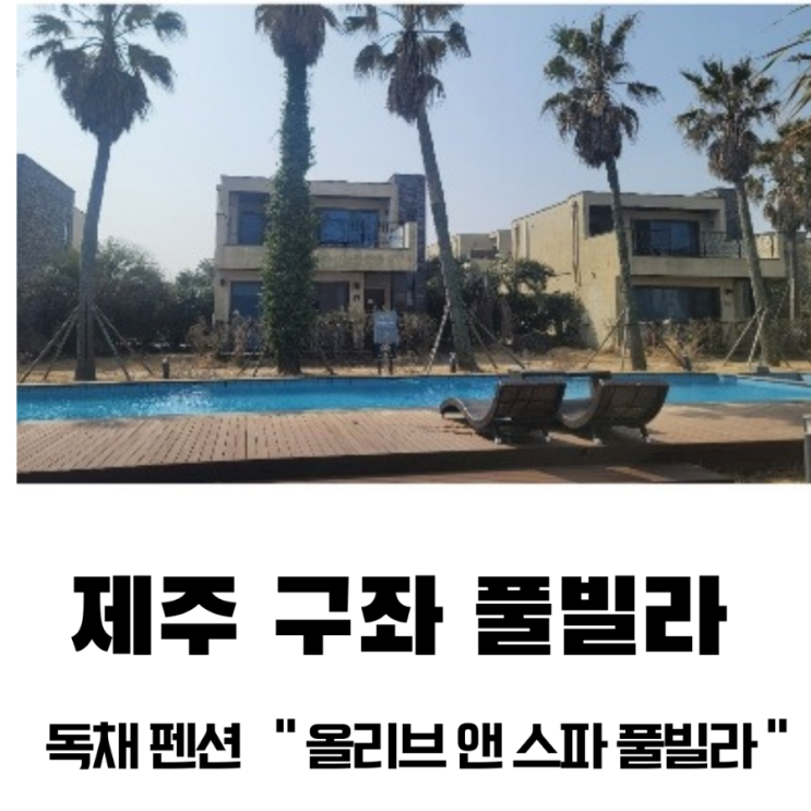 제주도 가족여행숙소 추천 올리브앤스파 풀빌라 노천탕펜션 가족독채펜션 제주풀빌라 키즈펜션 네이버 블로그