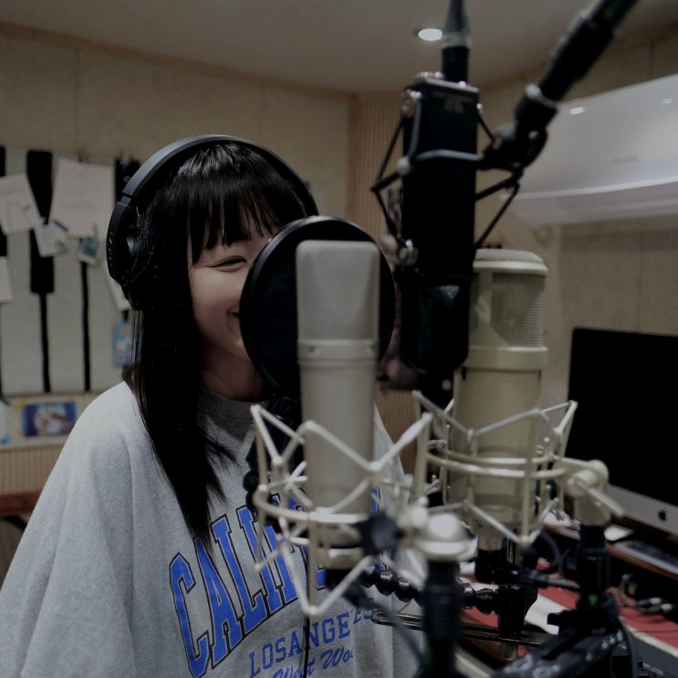 [음악장비]Fet 마이크를 알아보자, 든든한 가성비의 JZ Microphones BB29 : 네이버 블로그