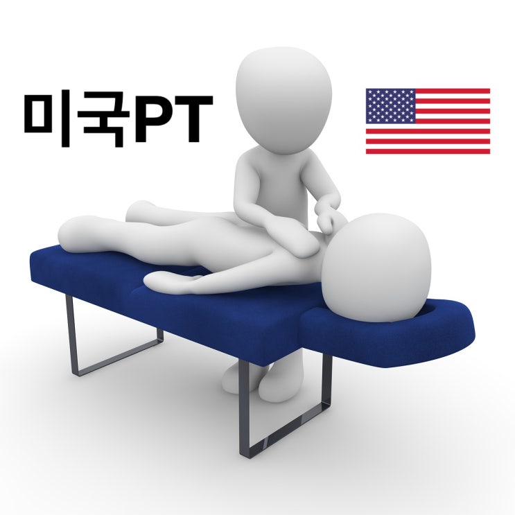 미국물리치료사 학위 과정 : Entry-Level DPT, tDPT, PPDPT : 네이버 블로그
