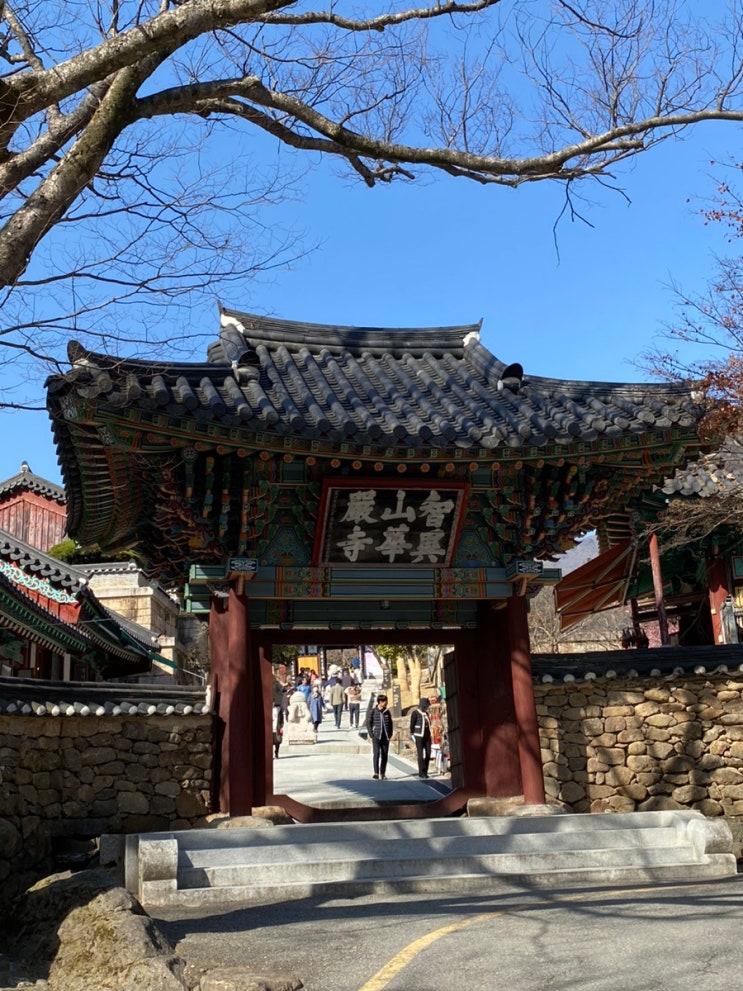 구례 지리산 화엄사 홍매화 당일치기 버스여행 파랑새투어 후기 사진콘테스트 화장실 개화시기 313기준 네이버 블로그