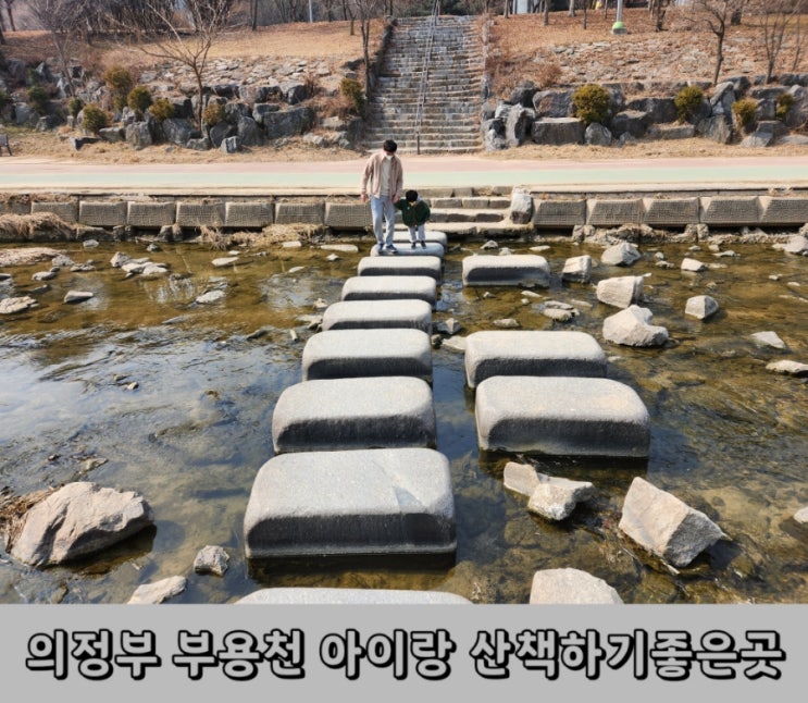 아이랑 의정부 벚꽃 임박한 부용천 나들이 오리 구경하며 산책하기 좋아요 네이버 블로그