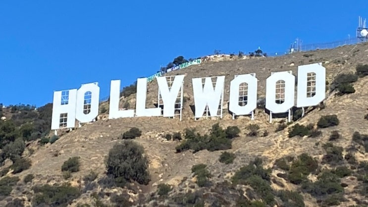 [미국] LA 여행 3편- Hollywood Hills & Hollywood Sign & Wisdom Tree : 네이버 블로그