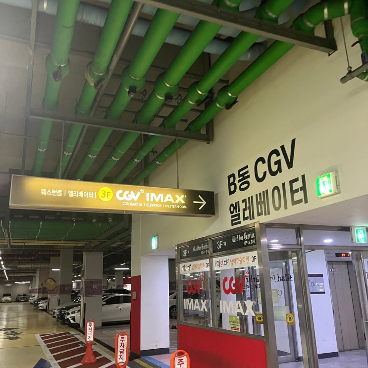 엄마랑 임영웅 영화보러 cgv 일산 갔다온 후기/cgv 일산 주차팁,웨스턴 돔 식당추천 : 네이버 블로그